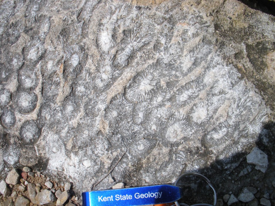 Photo Gallery | Adventures in Geology